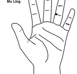 קצה המחט - מרכז לדיקור סיני