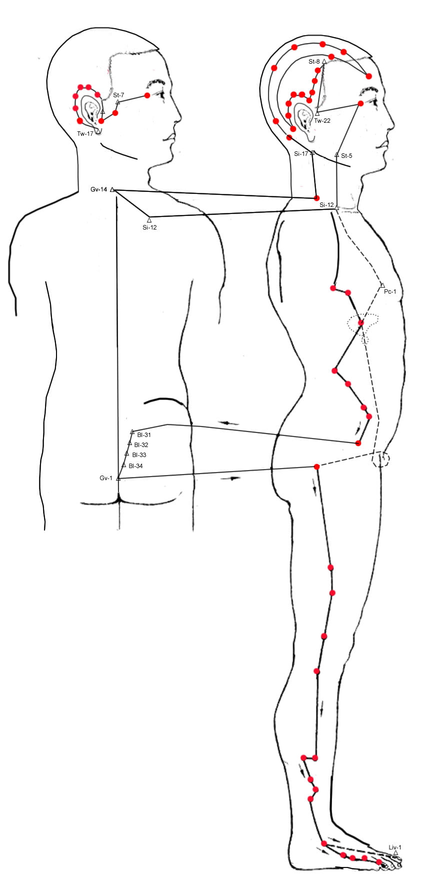 מסלול ראשי ערוץ ה- Shao Yang של הרגל